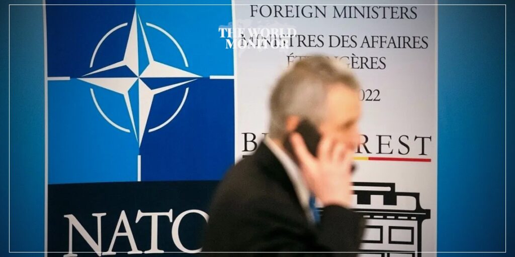 Egypt Emerges as Key NATO Partner - The World Monitor
